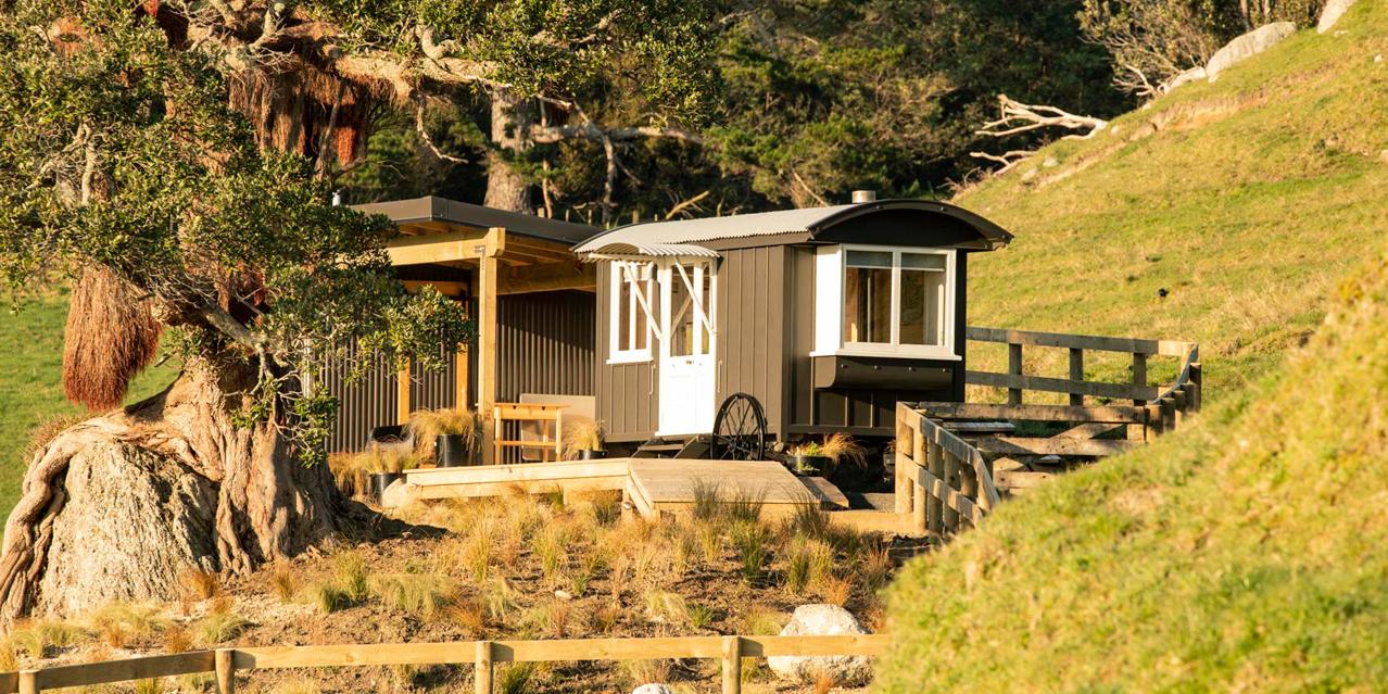 Wharekawa Farm | Coromandel | Canopy Camping Escapes NZ