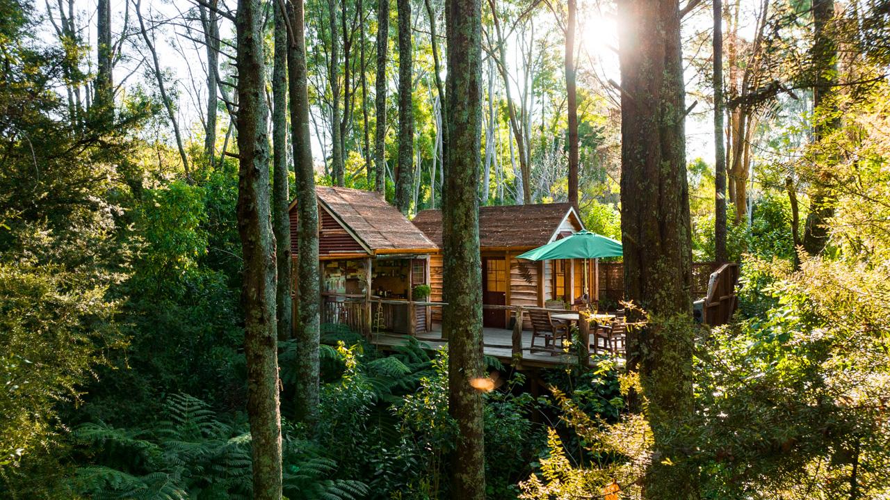 Rustic ReTreet | Canopy Camping Escapes